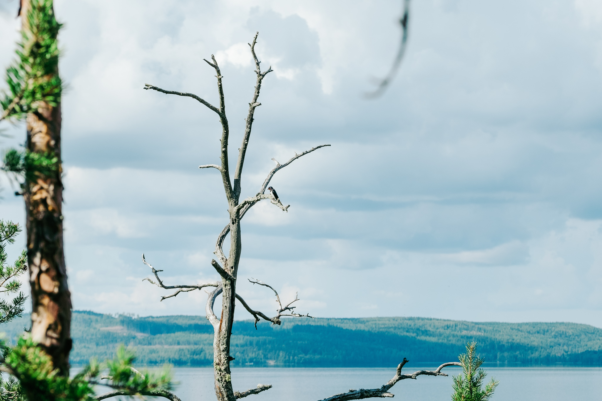 Eteläisen Keski-Suomen työllisyysaluelautakunnan puheenjohtaja ja ...