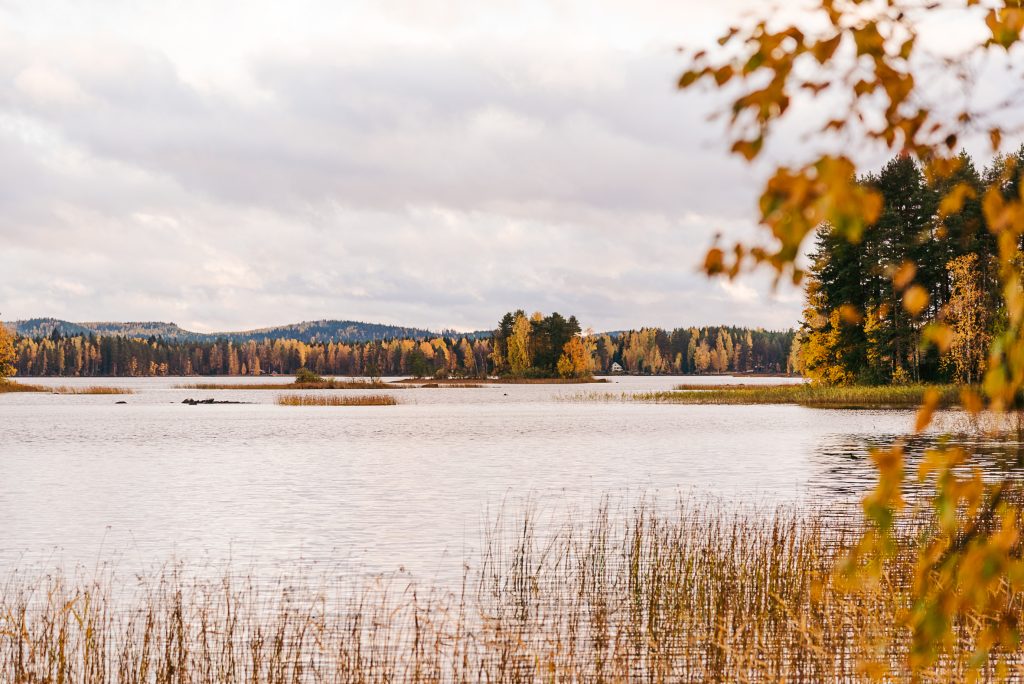 Etusivu - Toivakka